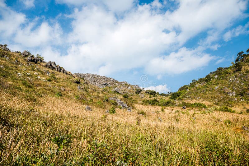 Dry hill with clear sky stock image. Image of national - 97161125