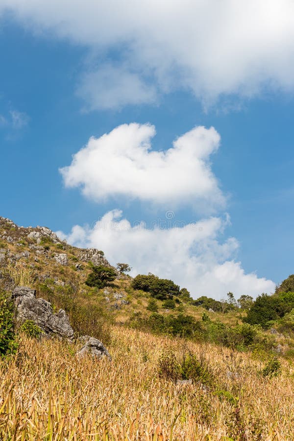 Dry hill with clear sky stock photo. Image of clear, background - 97161408