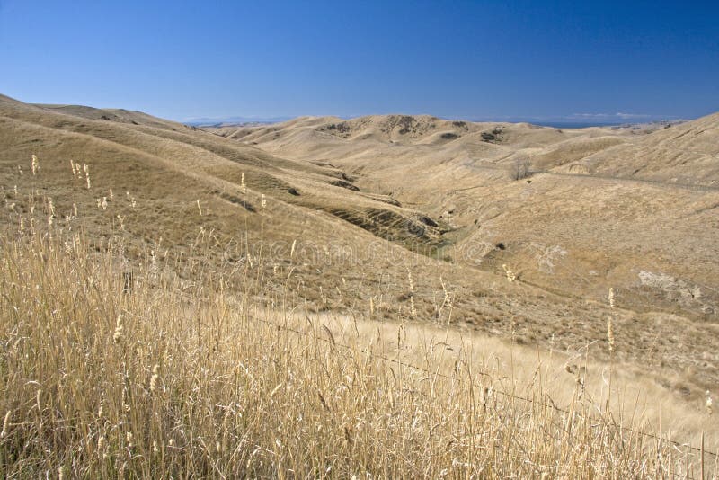Dry hills stock image. Image of grass, golden, hills - 14089169
