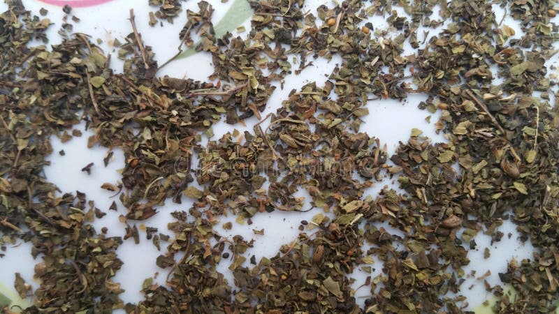Dry Holy Basil or Tulsi Leaves Background Stock Photo - Image of holy ...