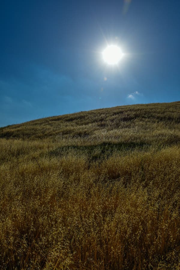 Dry, Hot Days Increase Water Drought and Dry Vegetation. Stock Photo ...