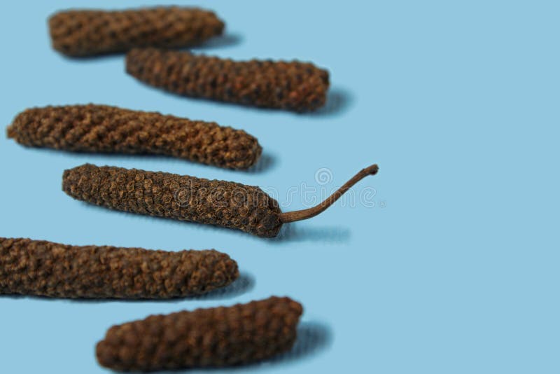 Dry Indian Long Pepper . Piper Longum ,Piper Retrofractum, Pippali ...