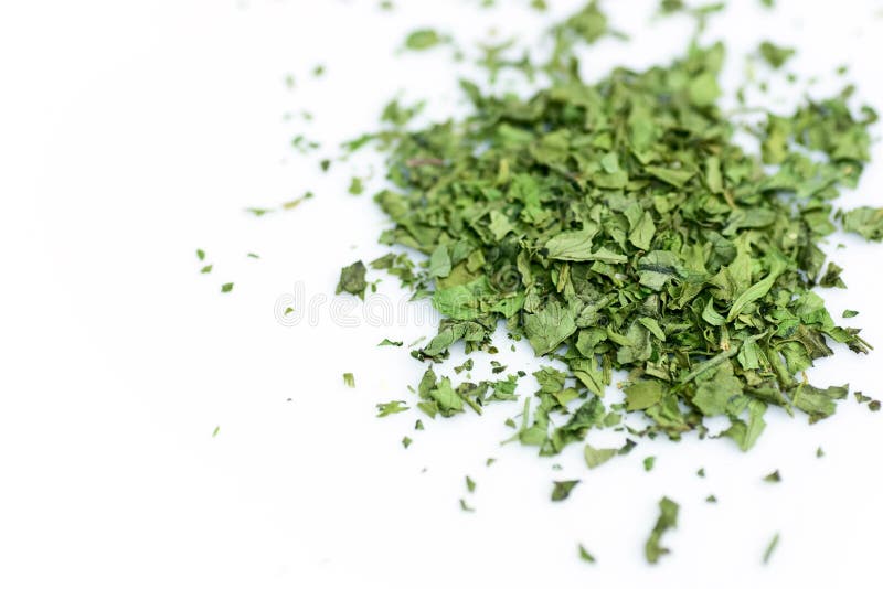 Dry isolated coriander stock photo. Image of horticulture - 28519234