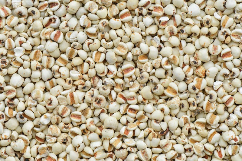 430 Dry Job Tear Background Stock Photos - Free & Royalty-Free Stock ...