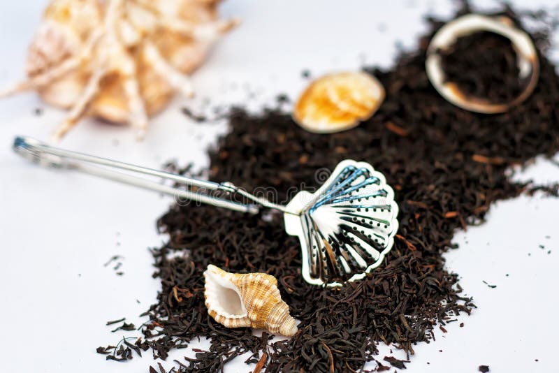 Dry Kenyan Kaimosi Tea Herbs with Seashells and Tea Strainer on White ...