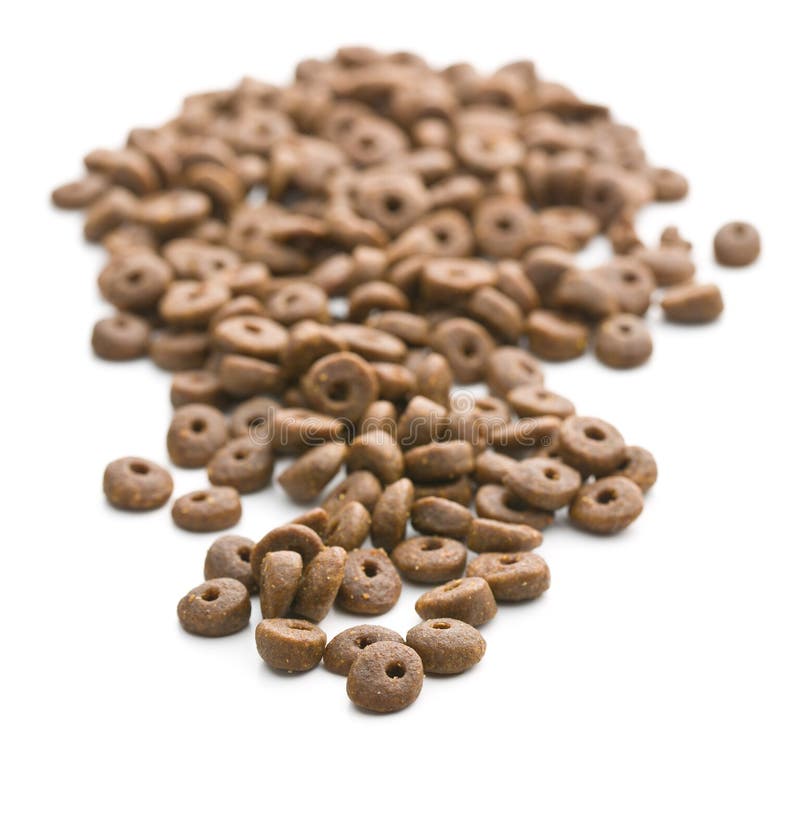 Dry kibble dog food. stock photo. Image of background - 73577064
