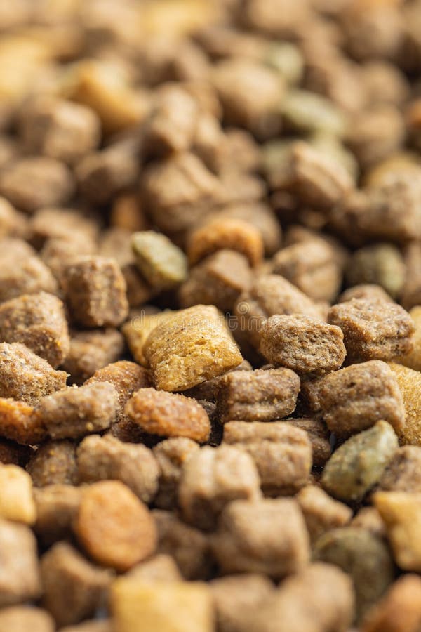 Dry Kibble Pet Food. Dog or Cat Food Stock Image - Image of nutrition ...