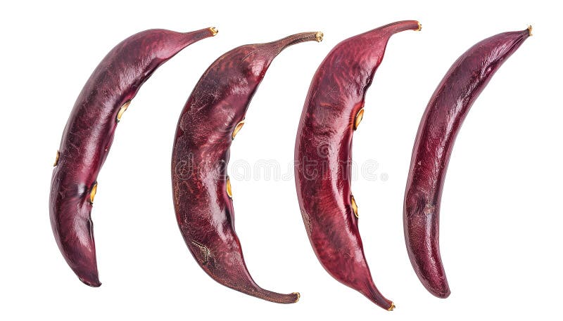 Dry Kidney Bean Isolated on White, Top View Stock Image - Image of ...