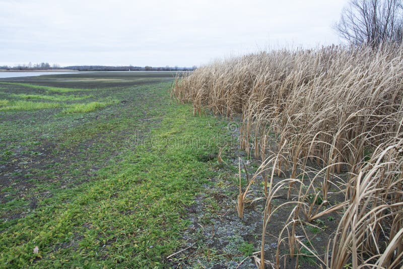 Drainage of a Reservoir, Swamp, Lake with the Help of High Pressure ...