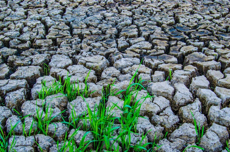 Dry lake stock image. Image of land, nature, drought - 54999585