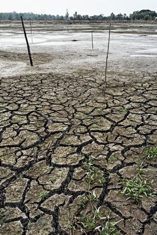 A dry lake stock photo. Image of desert, grunge, land - 30727302
