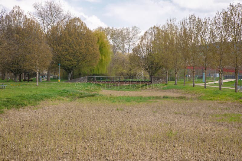 Dry Lake, Trees and Bushes, a City Park Stock Image - Image of ...