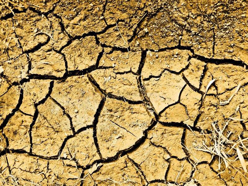 Dry Land Picture. Image: 13792367