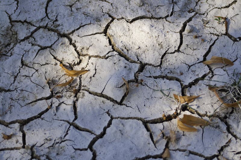 Dry land stock image. Image of desertification, shade - 15114147