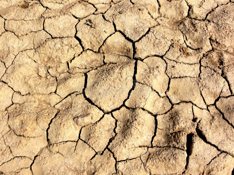 Lake Surduc Stock Photos - Free & Royalty-Free Stock Photos from Dreamstime