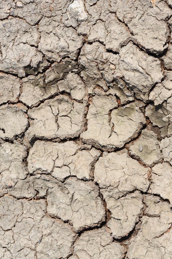 Dry land stock photo. Image of ground, environment, colour - 27244412