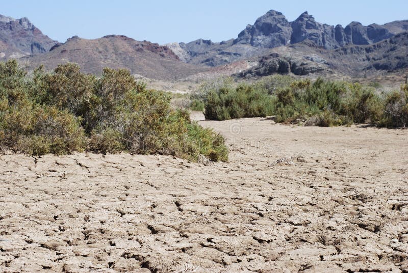 The Dry Land stock photo. Image of dead, land, sunny, landscape - 2732432