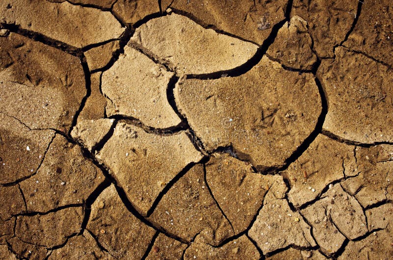 Dry Land stock photo. Image of agriculture, land, mire - 27637618