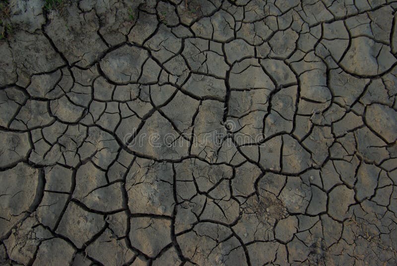 Dry land stock photo. Image of dried, broken, nature, cleft - 3054452