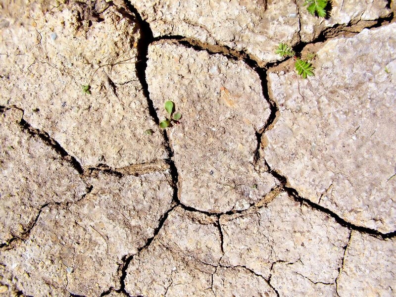 Dry land stock image. Image of climate, natural, agriculture - 7343725