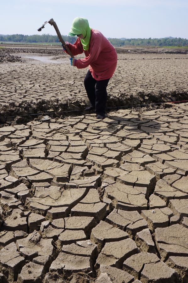 Dry land editorial stock image. Image of central, season - 45372794