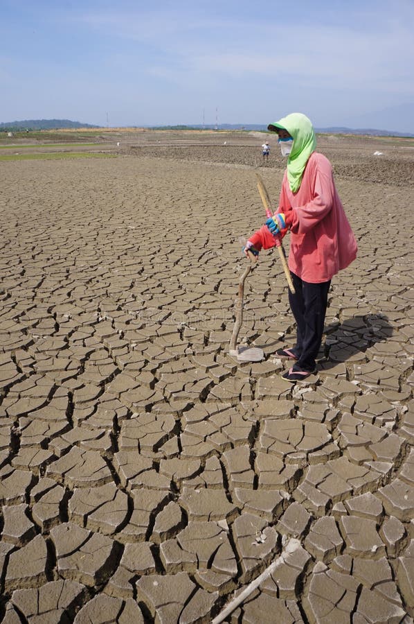 Dry land editorial photo. Image of java, farmers, season - 45372896