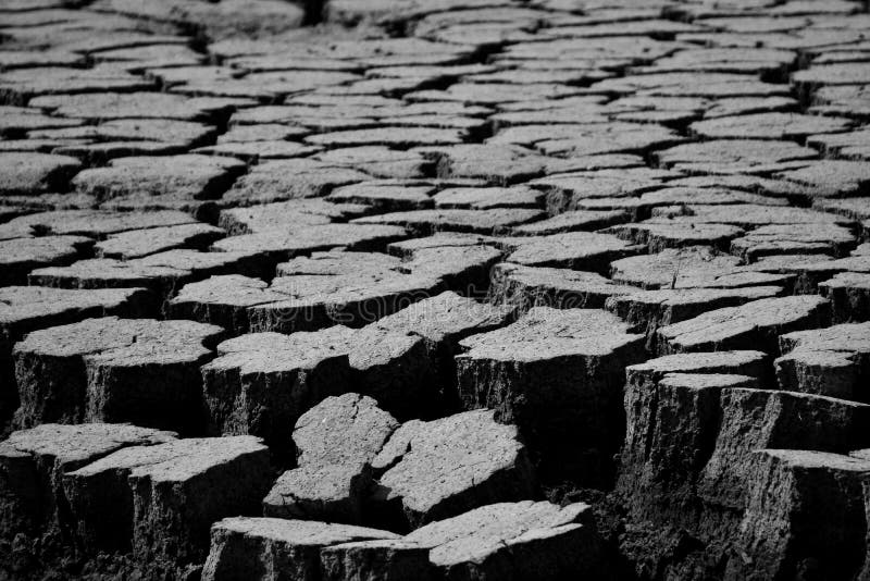 Dry Land Picture. Image: 2750781