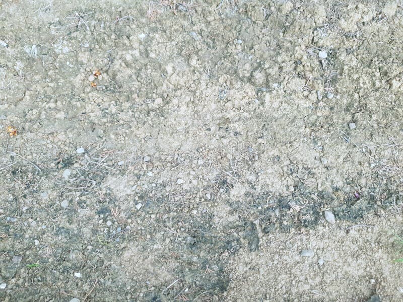 Dry land stock image. Image of snow, soil, pattern, freezing - 259957089