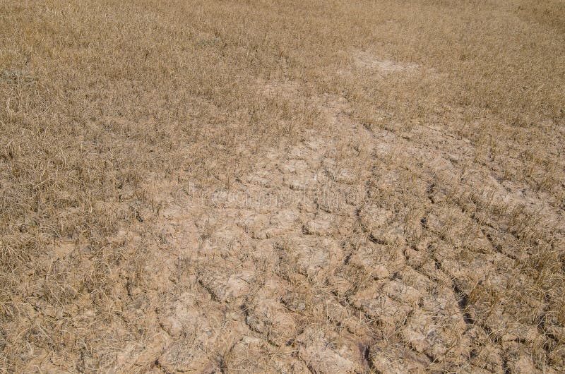 Dry land stock image. Image of land, drought, terrain - 70837227