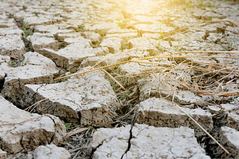 Dry Land and Cracked Ground. Pattern and Texture Soil Stock Image ...