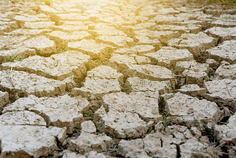 Dry Land and Cracked Ground. Pattern and Texture Soil Stock Image ...