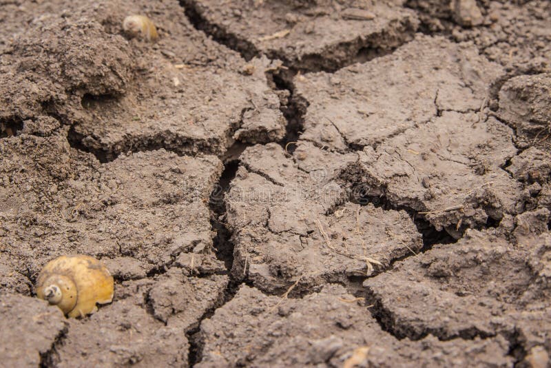 Dry land stock image. Image of drought, earth, brown - 36679191