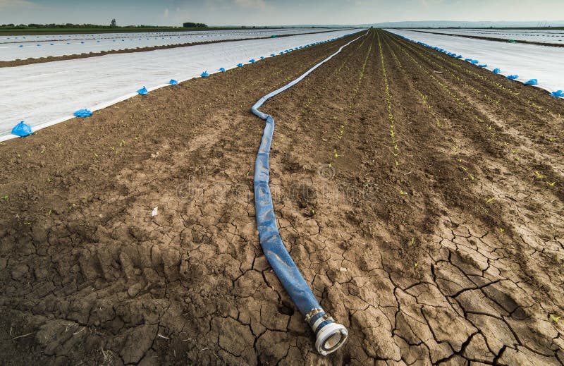 Dry Land - Drought - and Hose for Watering Stock Image - Image of ...
