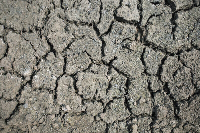 Dry land. Drought stock photo. Image of pattern, ground - 278476736
