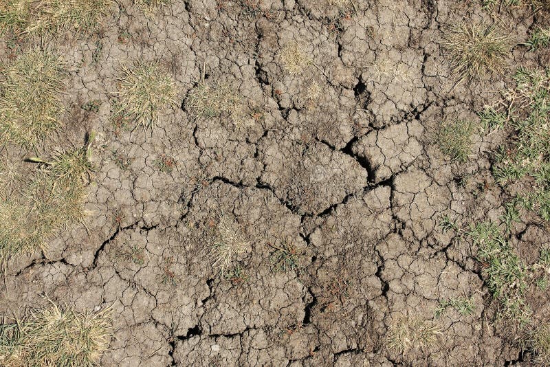 Dry land earth stock image. Image of earth, detail, cracks - 20053565