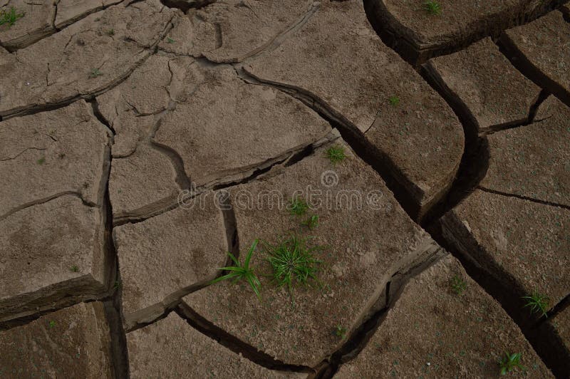 Dry-land farming sunny day stock image. Image of pattern - 78879967