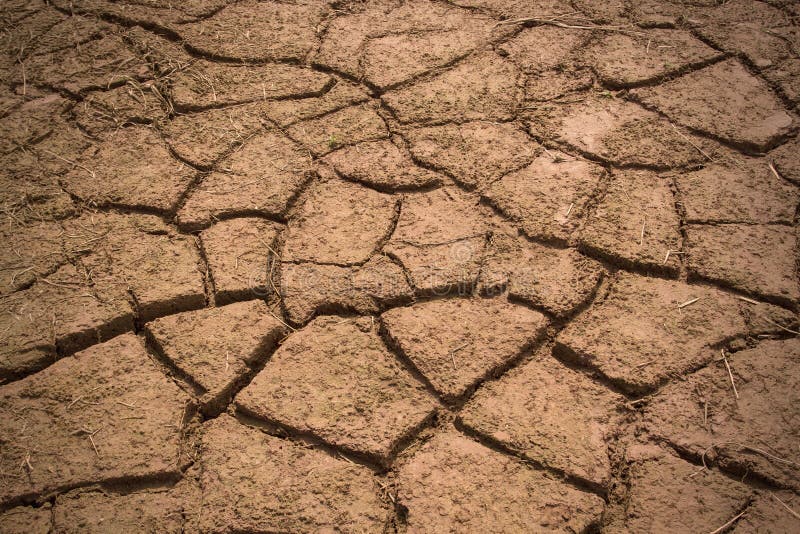 Dry land stock image. Image of barren, land, environment - 48298281