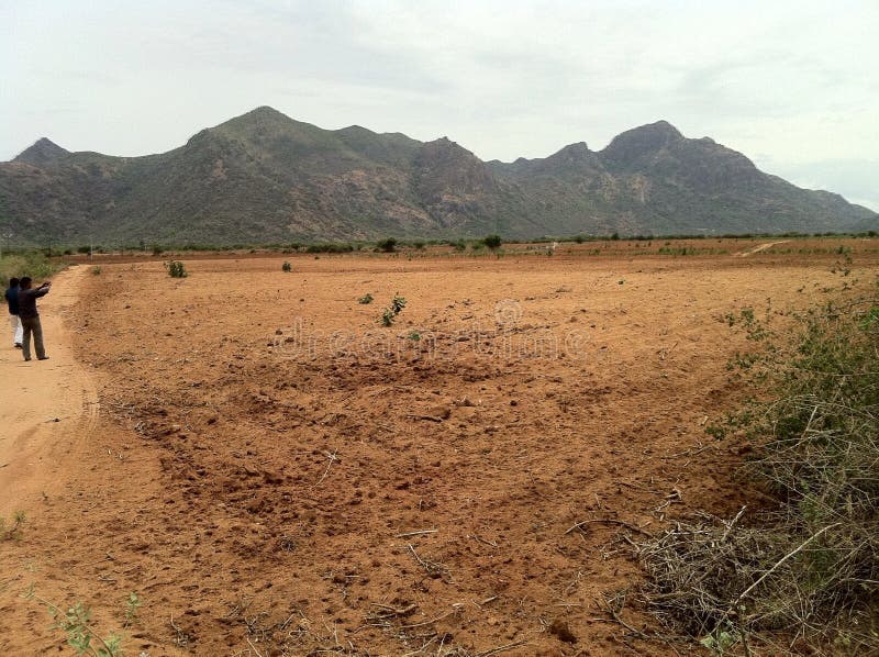 Dry Land editorial stock image. Image of look, land - 45590059