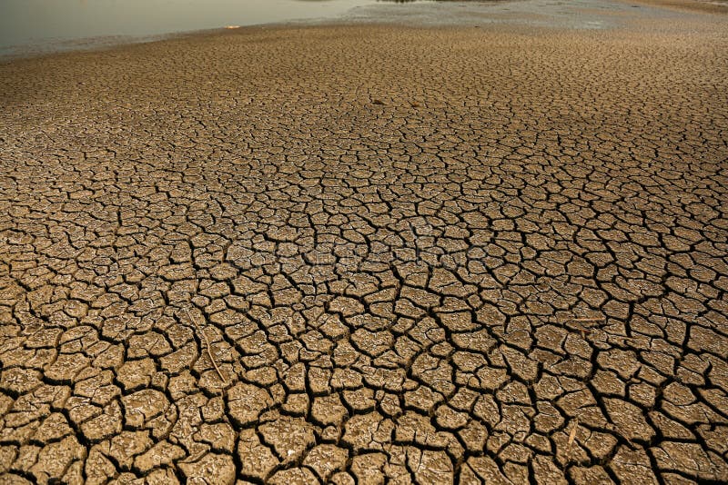 Dry land with many cracks stock photo. Image of disaster - 247263616