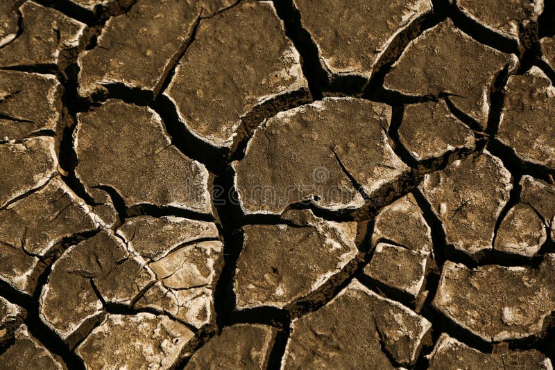 Dry land with many cracks stock image. Image of barren - 247263623