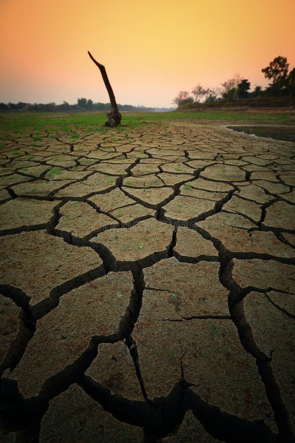 Dry land stock photo. Image of desert, earth, drought - 40117172