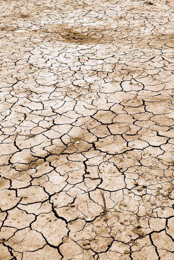 Dry land stock photo. Image of amazing, change, environment - 31148350