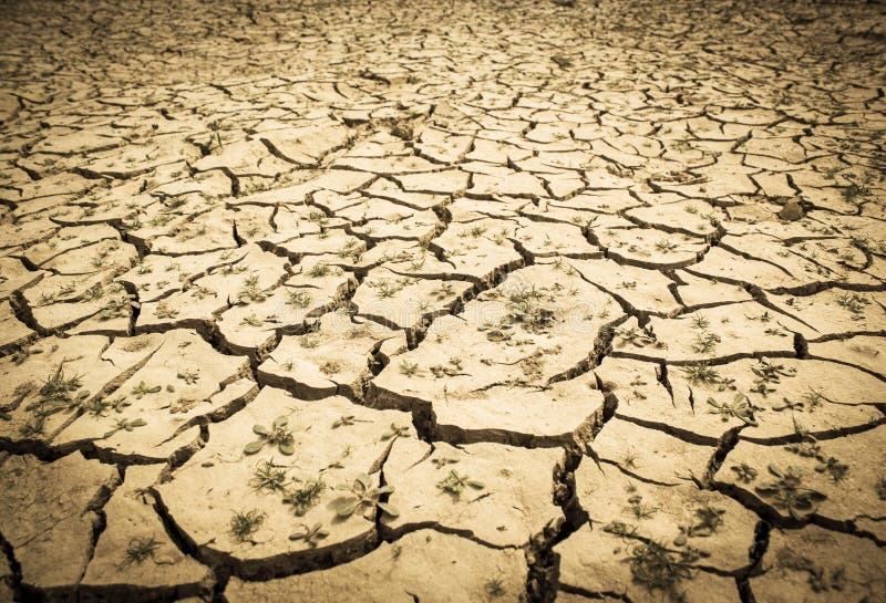 Dry land texture stock image. Image of barren, land, closeup - 67950565