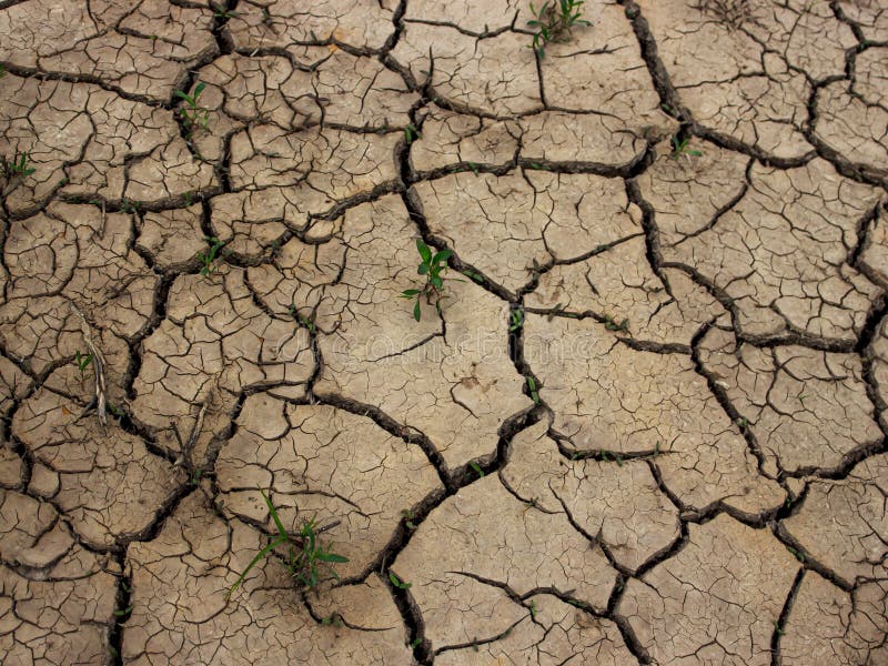 Dry land without water stock image. Image of environment - 220527443
