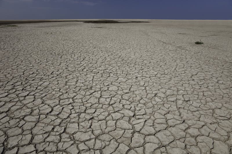Dry Landscape stock photo. Image of weather, parched - 10312386