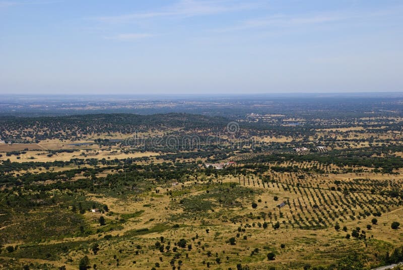Lonely Tree. Landscape Of Alentejo, Portugal. Stock Photo - Image of ...