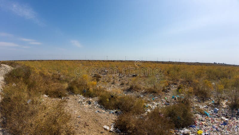 Dry Landscape Litter Sparse Vegetation Stock Photos - Free & Royalty ...
