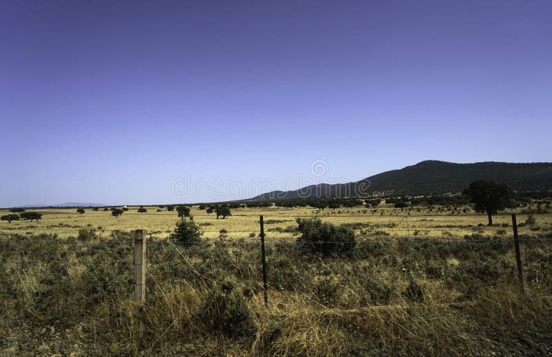 Dry Landscape in Spain with Large Pastures for Cattle Stock Image ...