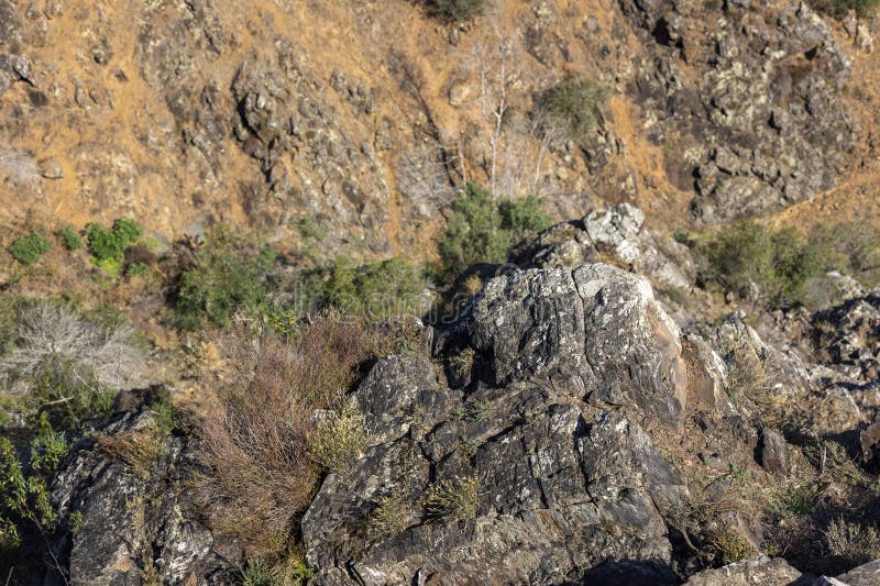 Dry Landscape Terrain with Stones and Sparse Vegetation Stock Photo ...