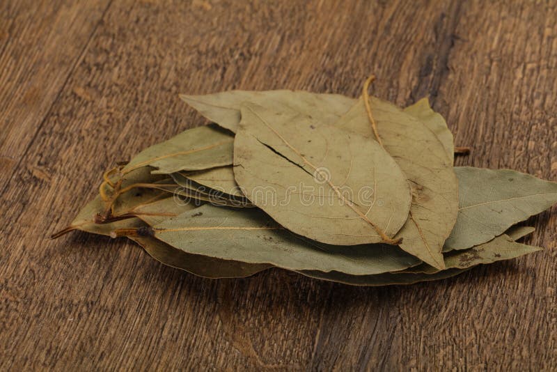 Dry laurel leaves stock image. Image of close, organic - 145020893